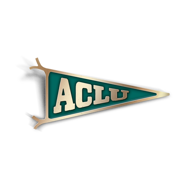 ACLU Pennant Pin - ACLU