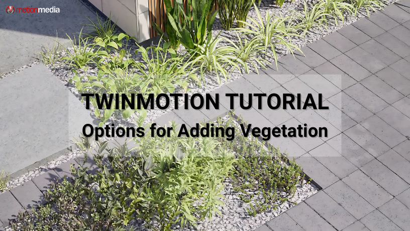 Twinmotion Vegetation Scatter Options Guide Motionmedia