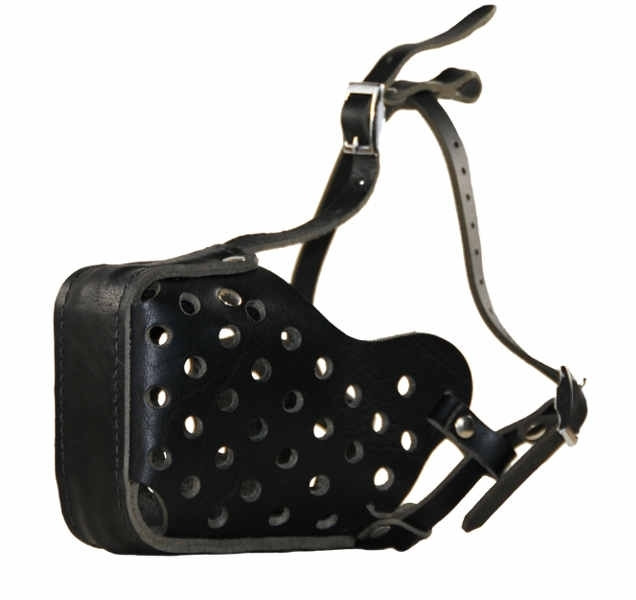 Ventilated Leather Muzzle