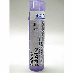 Ledum palustre 1M 80 plts by Boiron - Clinical Nutrition Centers