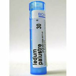 Ledum palustre 30C 80 plts by Boiron - Clinical Nutrition Centers