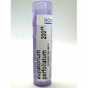 Eupatorium perfoliatum 200CK 80 plts by Boiron - Clinical Nutrition Centers