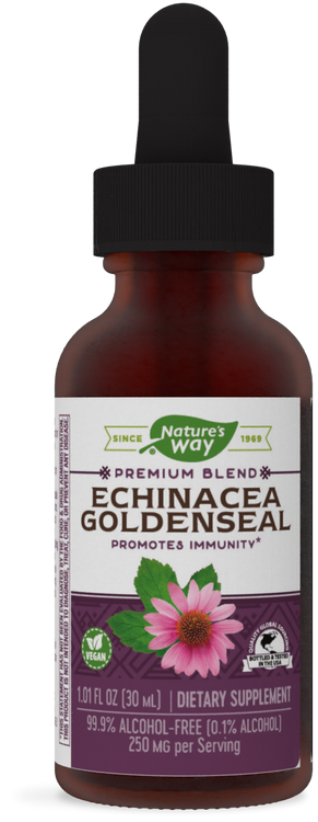 Echinacea Goldenseal Drops - 1 fl oz (30 ml)