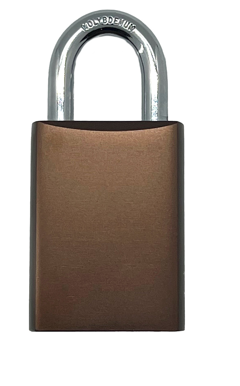 Abloy C45A-BRN-1-T Brown Padlock with 1" Shackle, Protec2 Cylinder ...