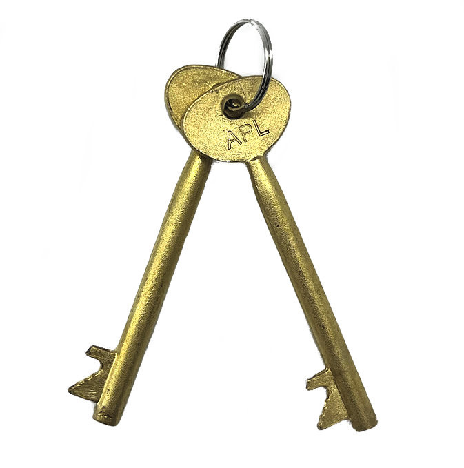 AP #2 Enclosure Lock Cut Key (Sold Each)