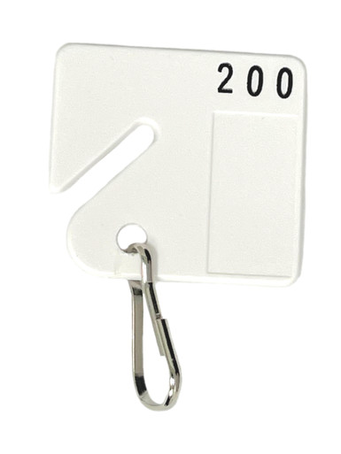 Lucky Line 25920 Square Notch Key Tag, White Numbered 101 to 200 (100 Pack)
