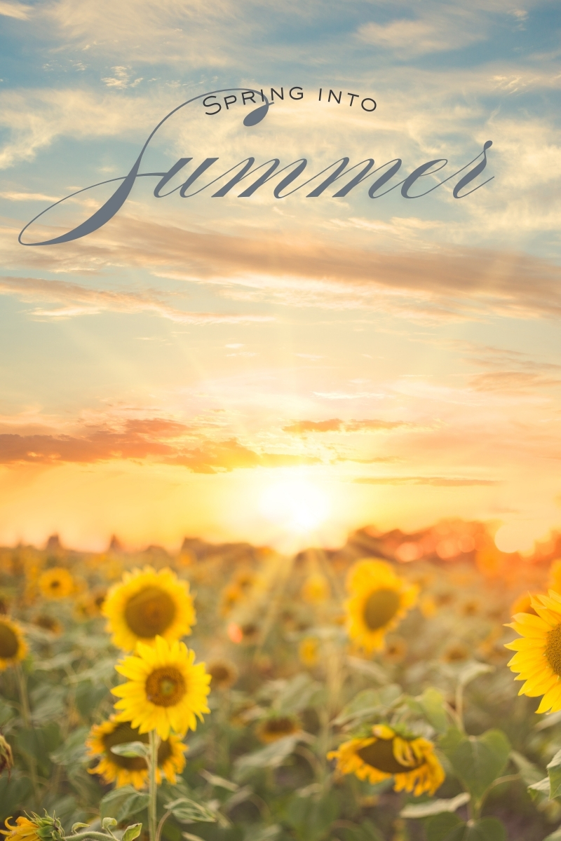 Spring Into Summer: Mini Split Maintenance, Energy Savings & Cooling ...
