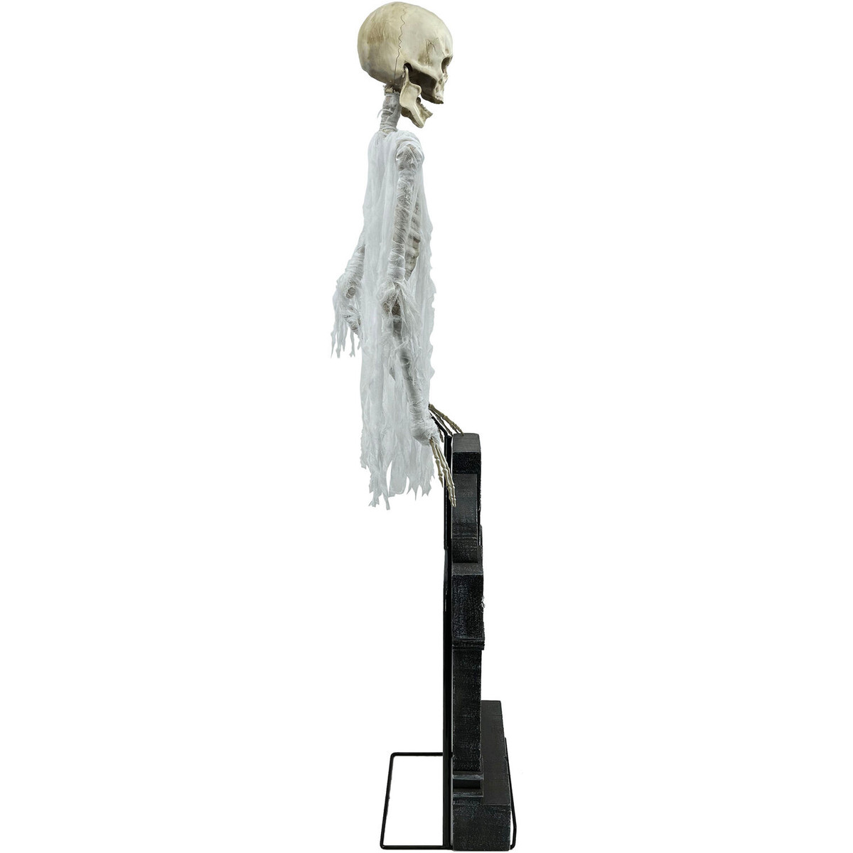 Halloween - Shop by Theme - Skeletons and Mummies - Page 2 - Fraser ...