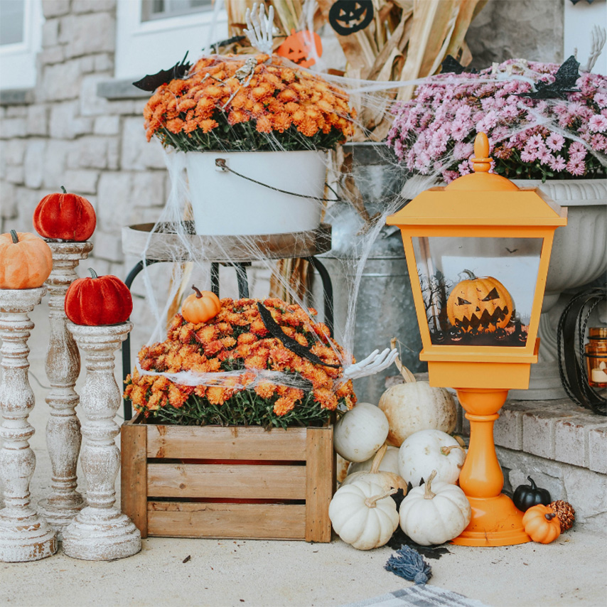 Why Fraser Hill Farm?