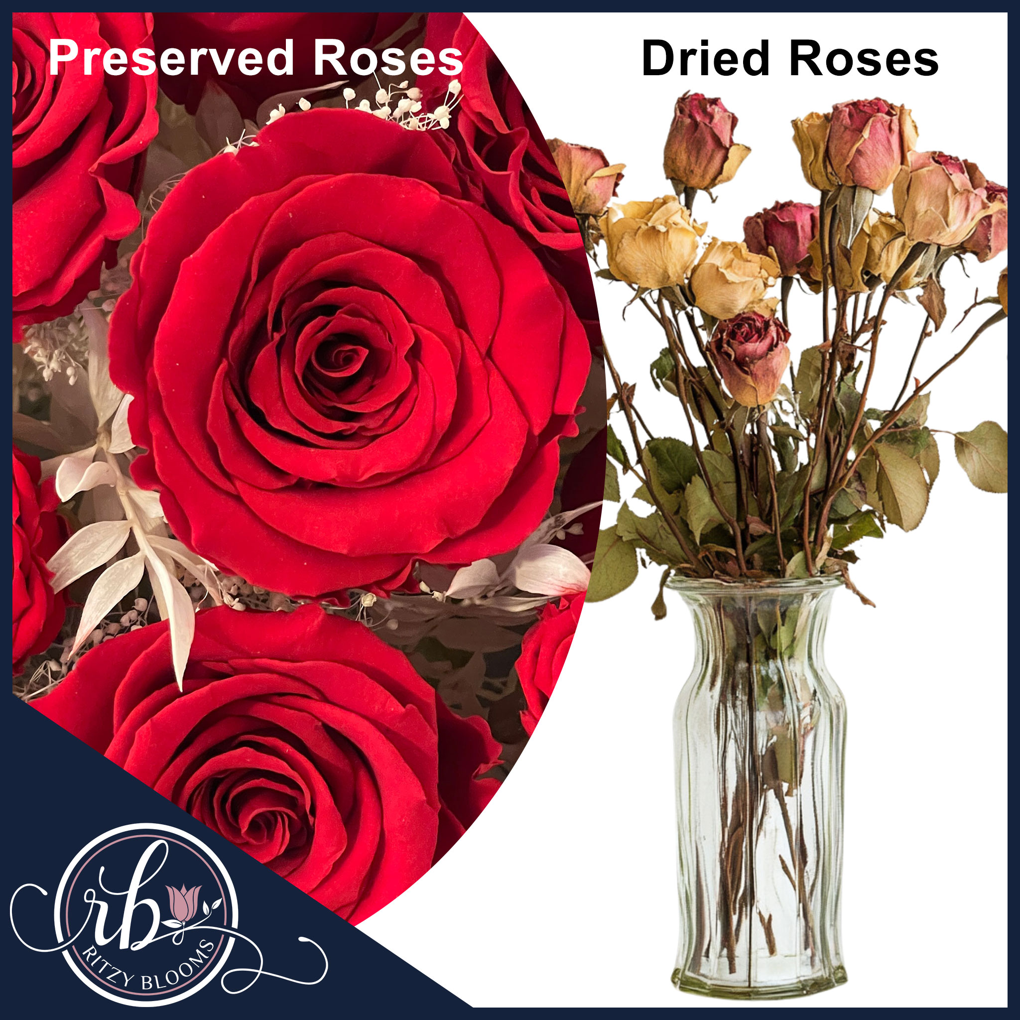 Preserved Flowers vs. Dried Flowers: What’s the Real Difference ...