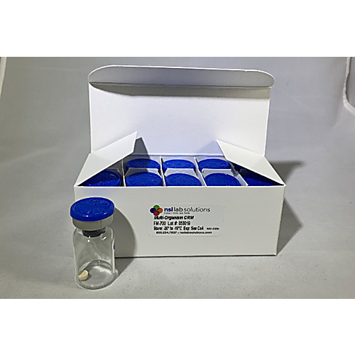 Rapid Mold 10 Vials