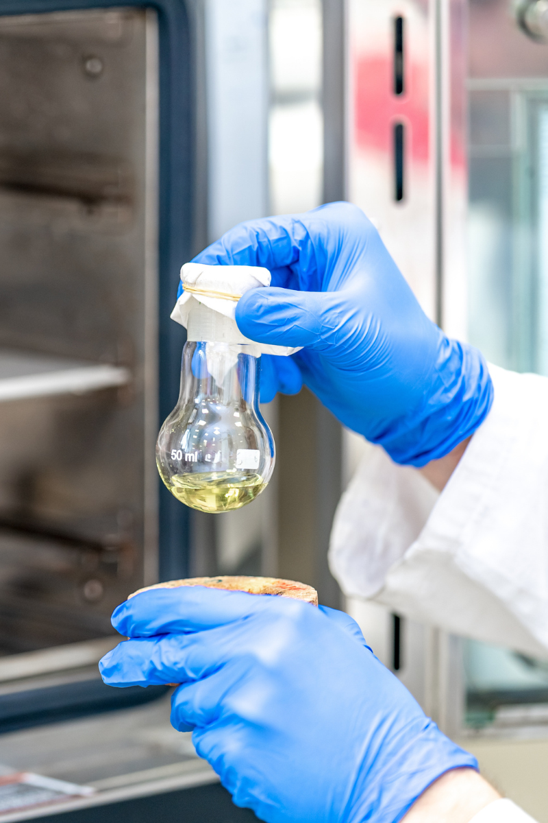 The Essential Lab Workhorse: A Look Inside Lab Drying Ovens - Cenmed Enterprises