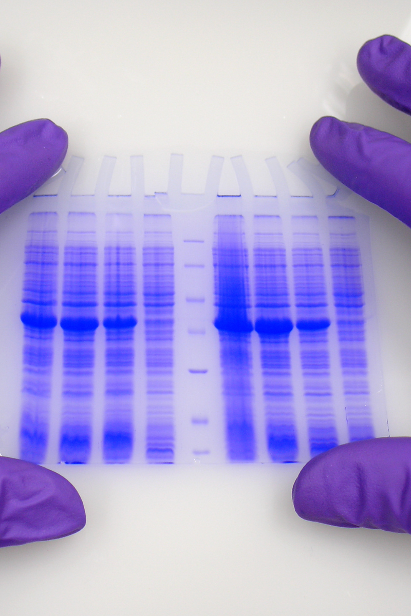 Laboratory Reagents and Solutions: Essential Tools for Scientific ...