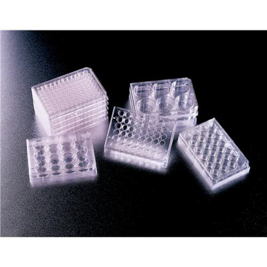 Clear Cell Culture Plate 24 Well Flat Bottom W/ Lid (C08 0356 466)