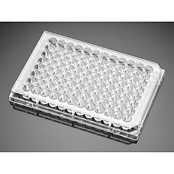 Falcon 96 Well Clear Round Bottom Tc Treated Cell Culture Microplate ...