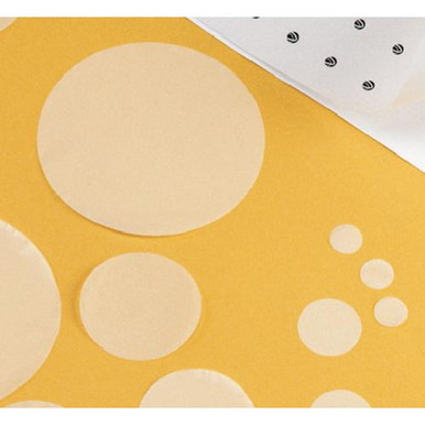 Polycarbonate Track Etched (Pcte) Membrane 0 05Um 47Mm