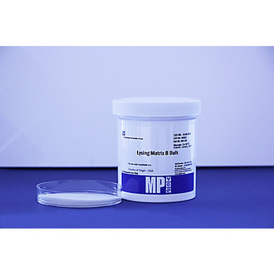 Lysing Matrix B 1 Kg
