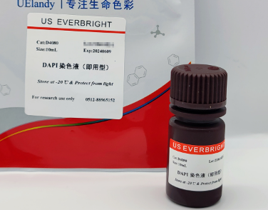Dapi Staining Solution (Ready To Use)