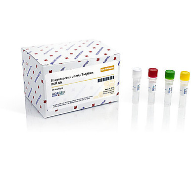 Streptococcus Uberis Taqman Pcr Kit