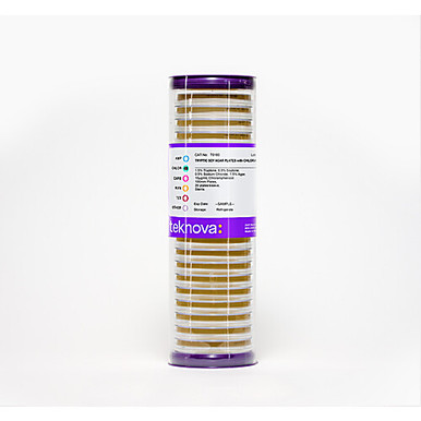 Tryptic Soy Agar Plates With Chloramphenicol 10 100Mm Plates Sterile ...