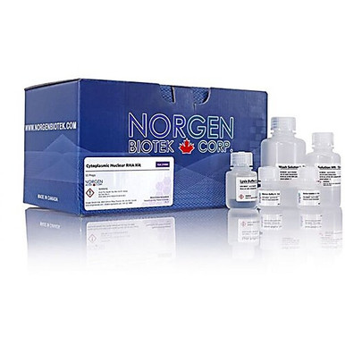 Cytoplasmic & Nuclear Rna Purification Kit 50P