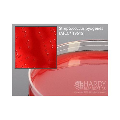 Selective Beta Strep Agar For Group A Strep Only (Streptoco