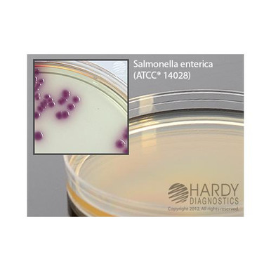 Hardychrom Salmonella 15X100Mm Plate