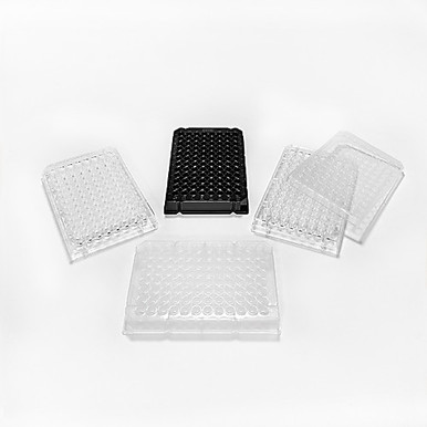 Sterile Untreated 96 Well Microplate Conical V Bottom No Lid Polystyrene