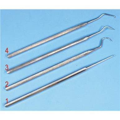 Stainless Steel Probe #1