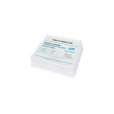 Positive Charged Microscope Slides With Blue Frosted End