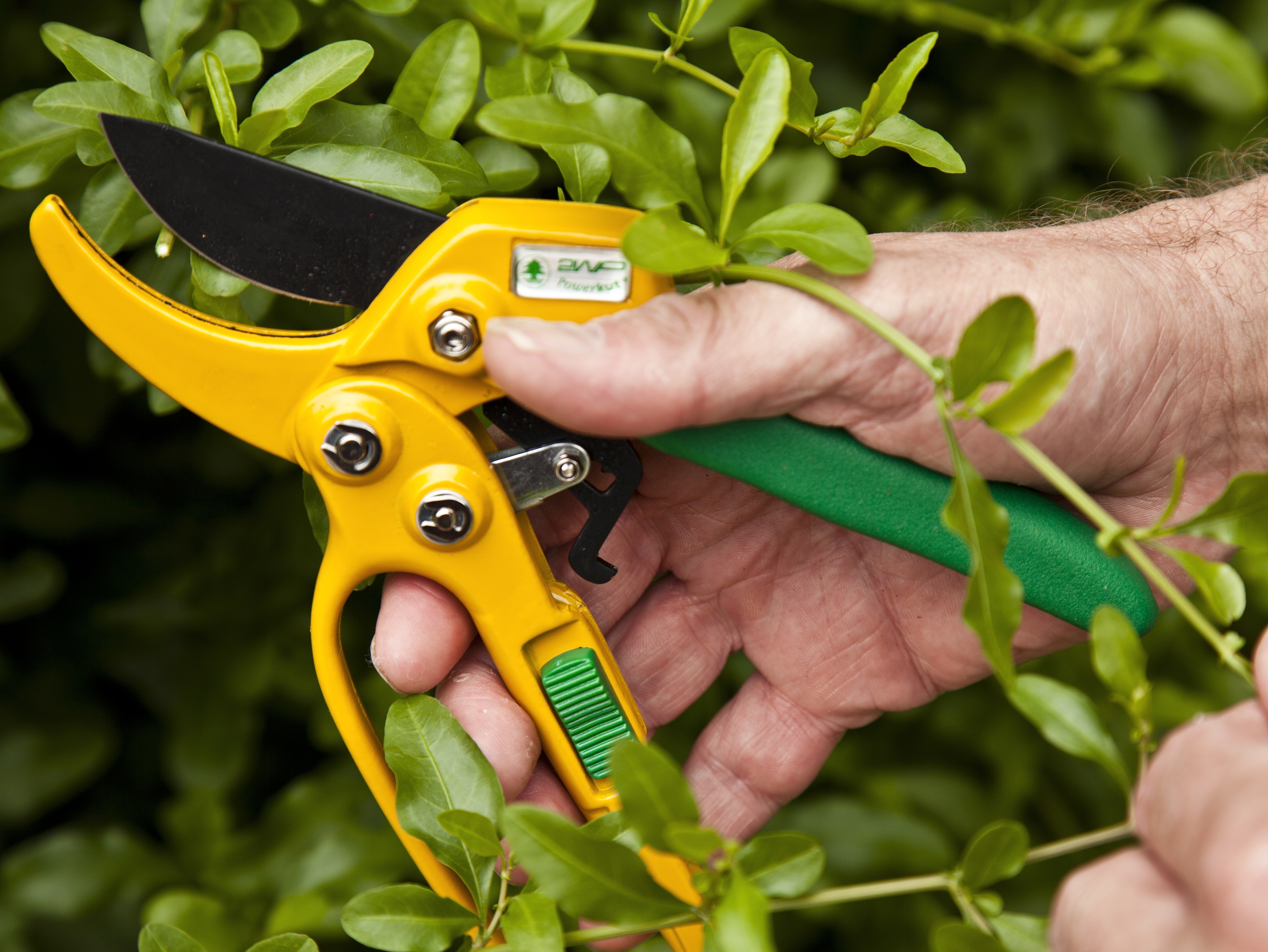 Benefits of 2WP Secateurs - 2WP Effortless Pruning