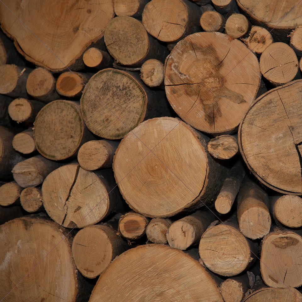 Log Design Photo Backdrop for studio use printed on vinyl, poly paper ...