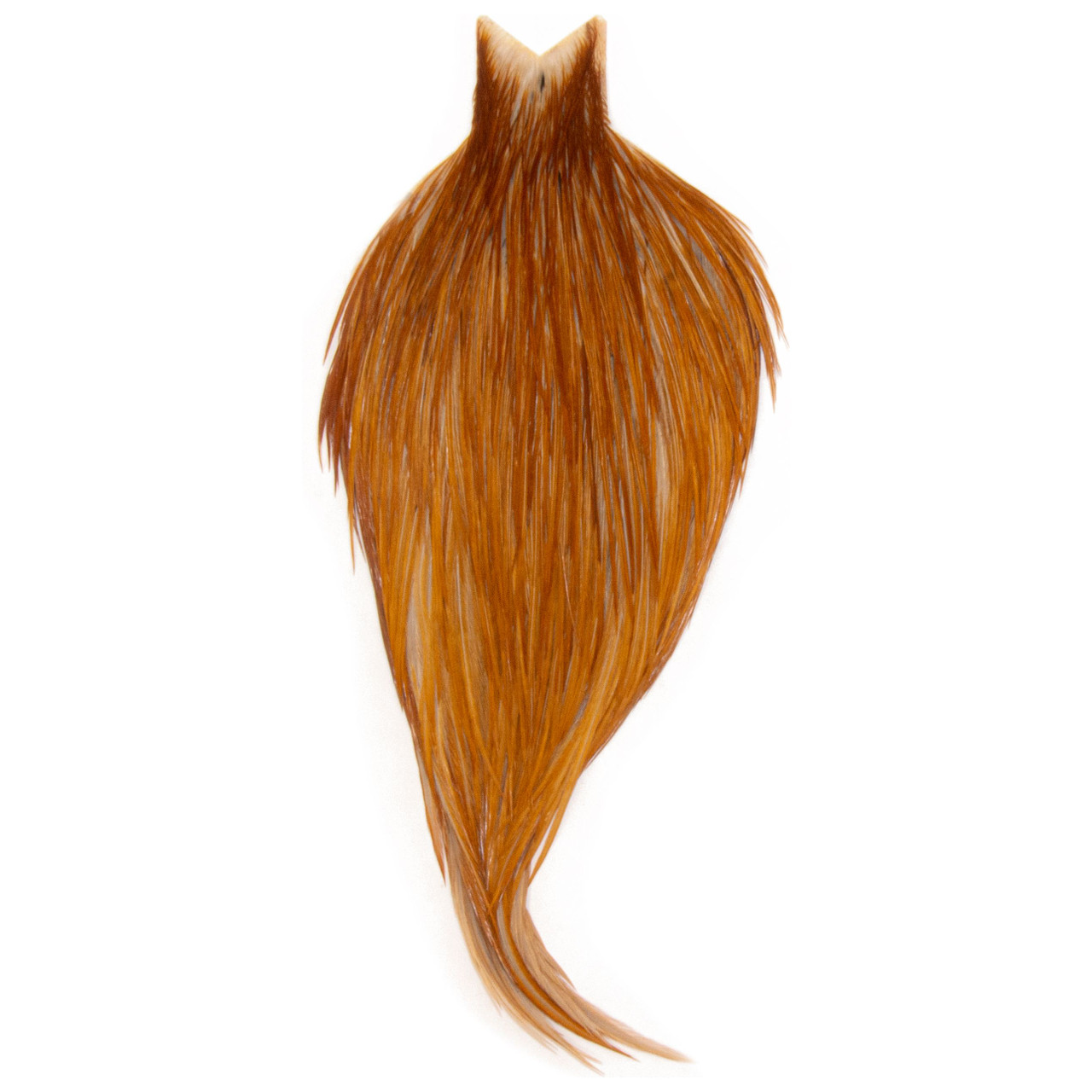 Whiting Farms High & Dry Hackle Cape - Hunter Banks Fly Fishing