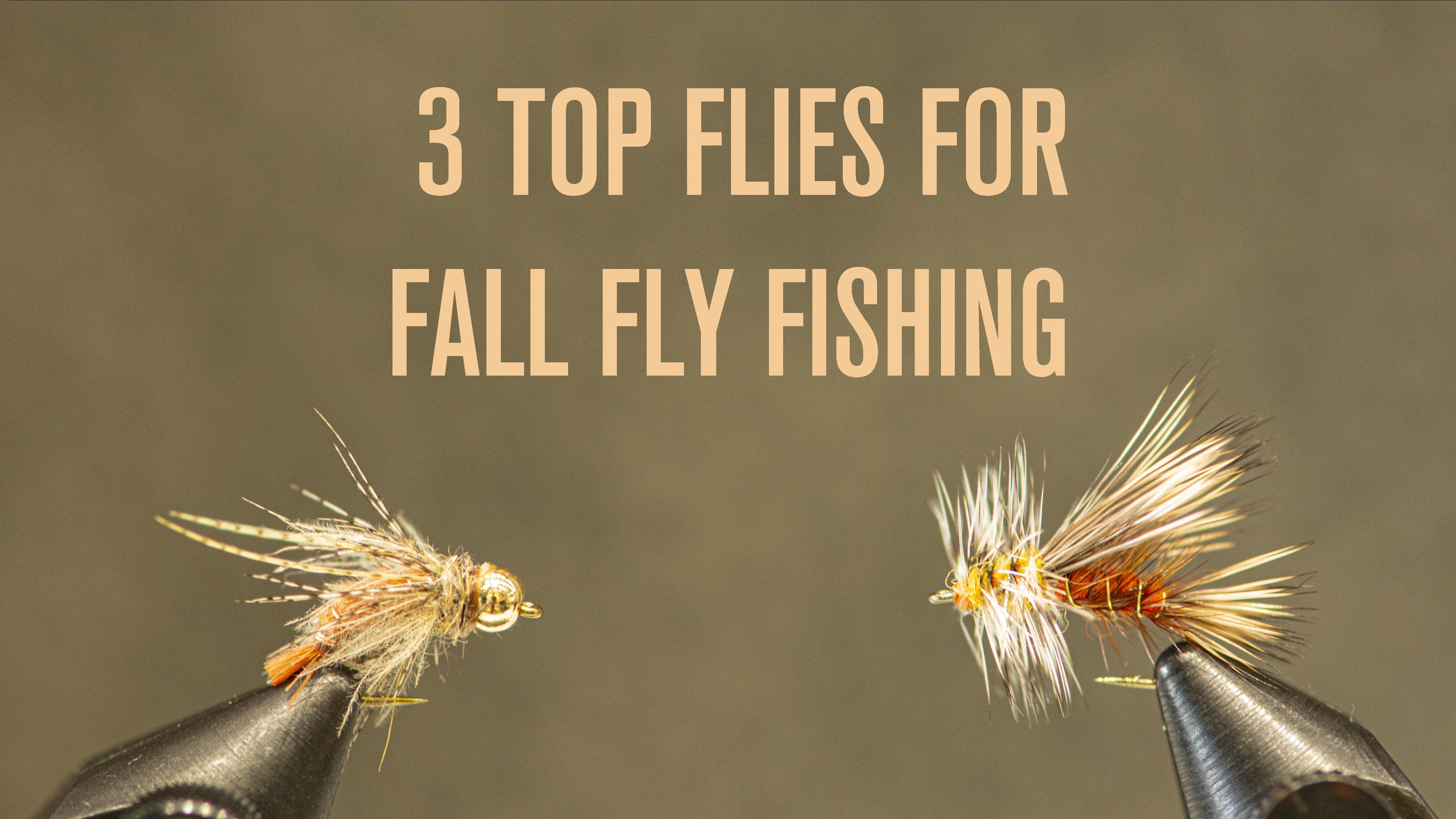 3 Top Flies for Fall Fly Fishing - Hunter Banks Fly Fishing