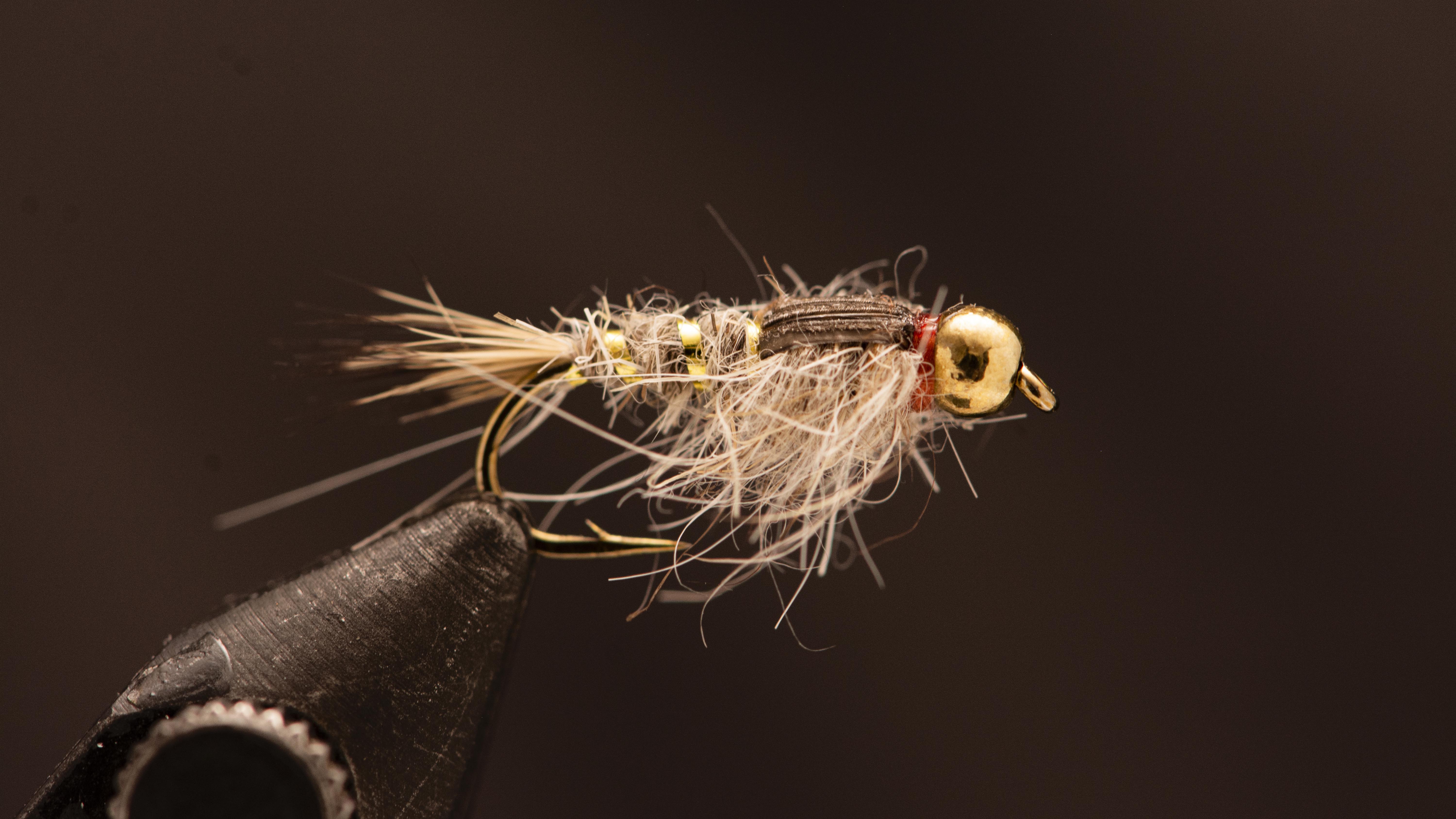 3 Top Flies for Fall Fly Fishing - Hunter Banks Fly Fishing
