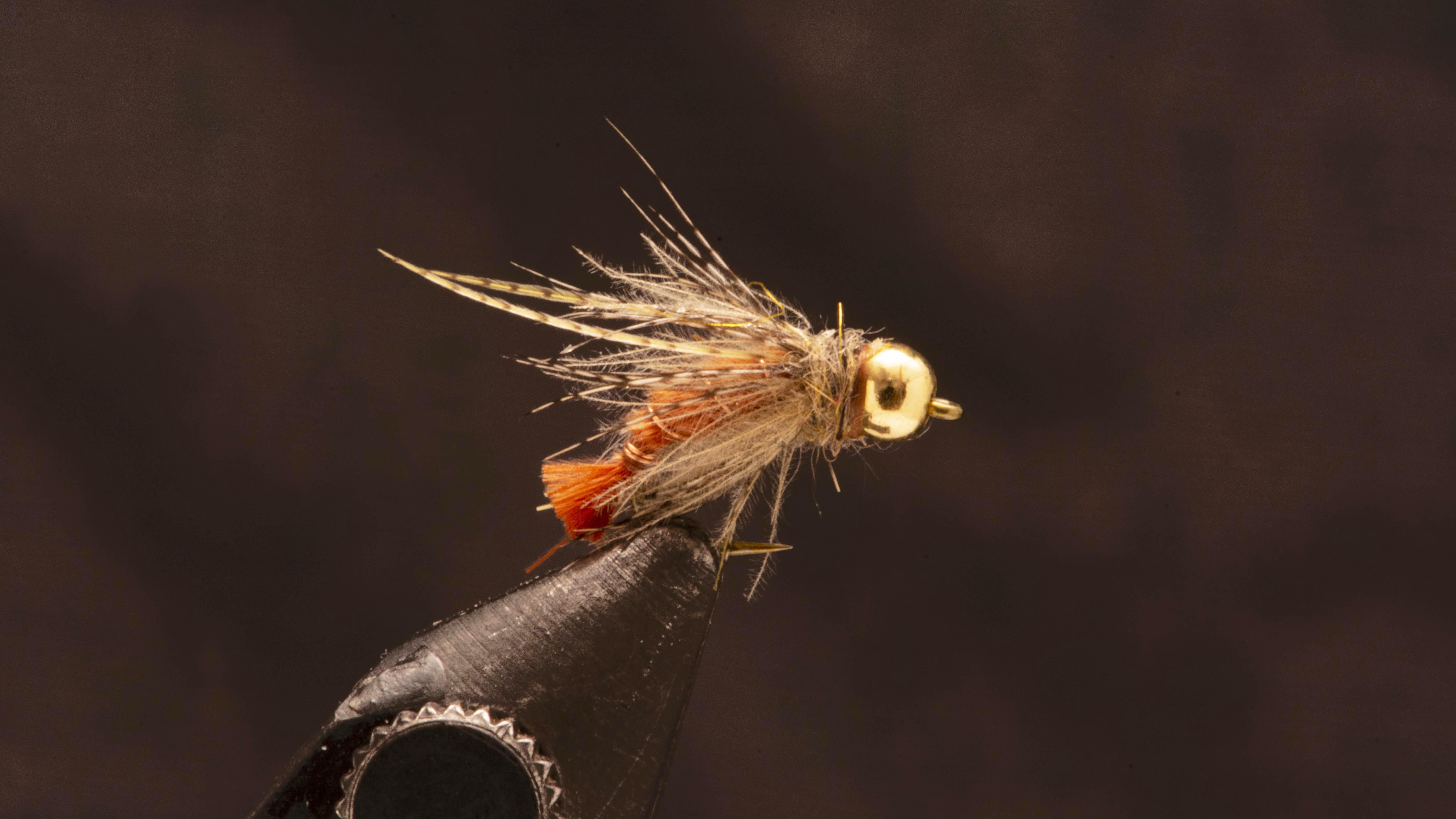 3 Top Flies for Fall Fly Fishing - Hunter Banks Fly Fishing