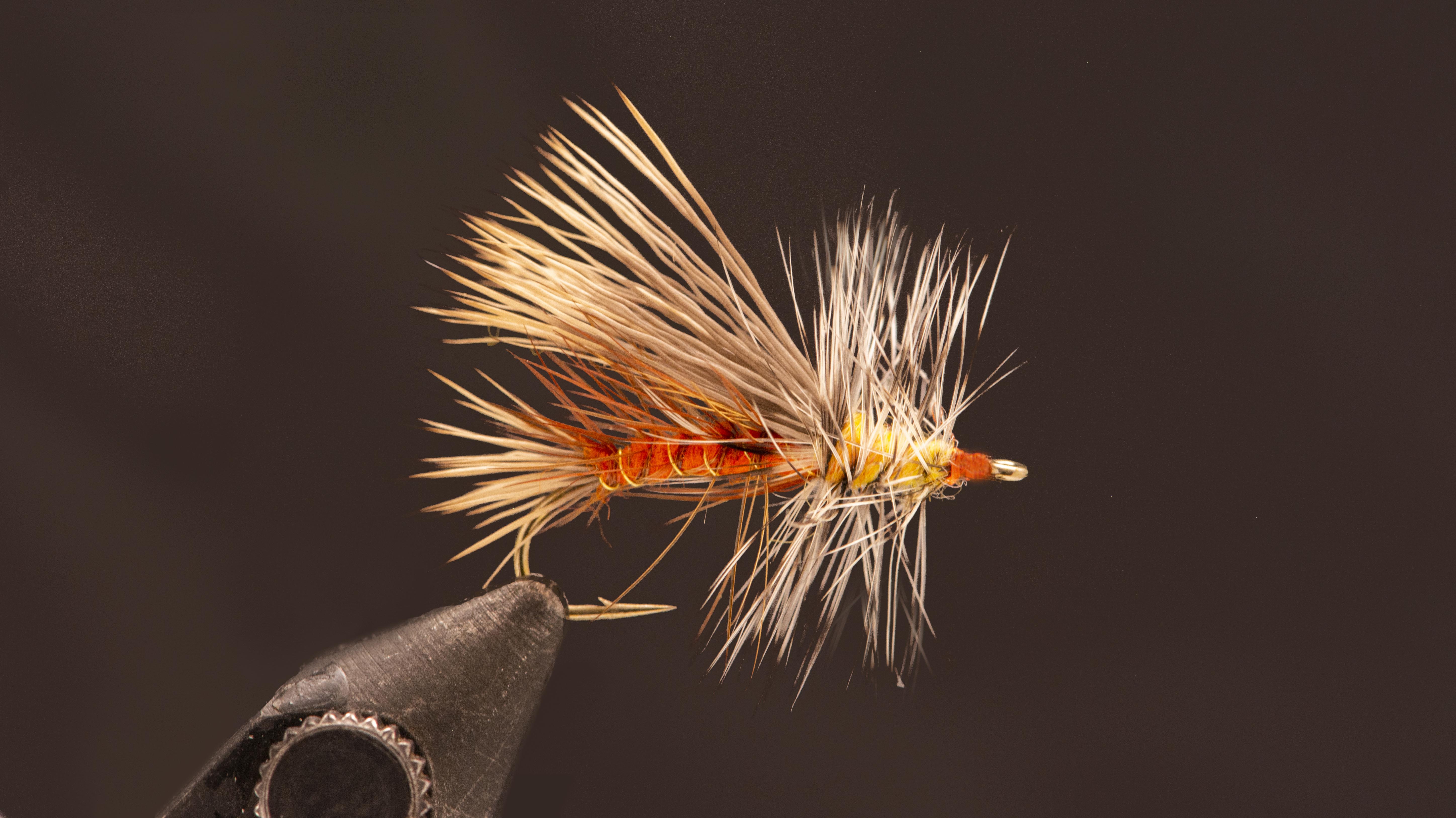 3 Top Flies for Fall Fly Fishing - Hunter Banks Fly Fishing