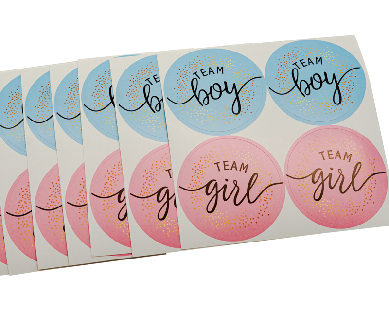 2" Pink and Blue Team Boy/Girl Gender Reveal Party Stickers - Pack of ...