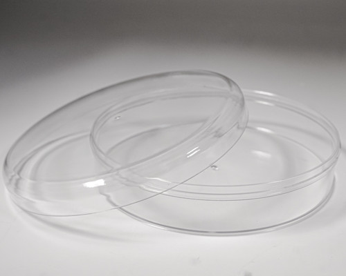 5.5" Wide Clear Rounded Edge Favor Box - Pack of 6 Plastic Storage ...