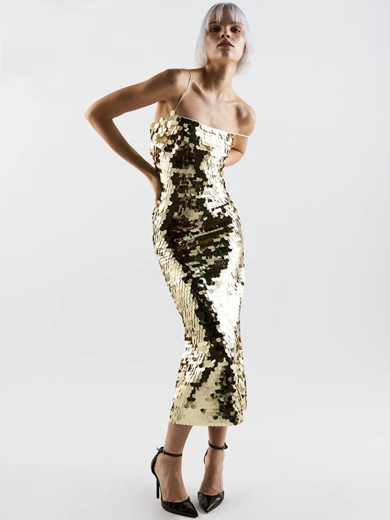 The Power of the Celebrity Sparkle: Sequined Dresses on the Red Carpet ...