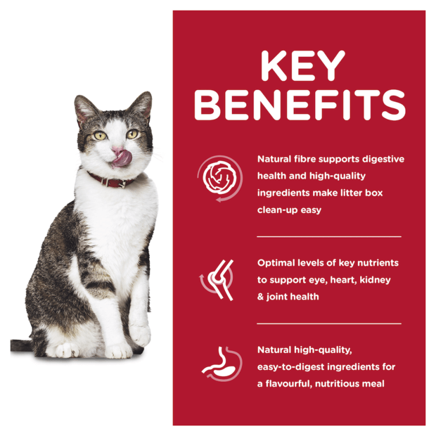 Buy HILLS SCIENCE DIET Senior 11 Plus Indoor Dry Cat Food - Discount ...