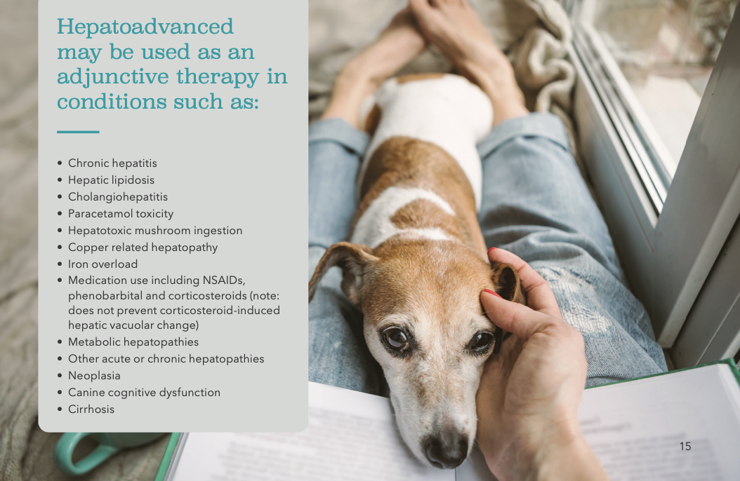 Buy PAW Hepatoadvanced Medium & Large Dog above 15kg- 30pk - Discount ...