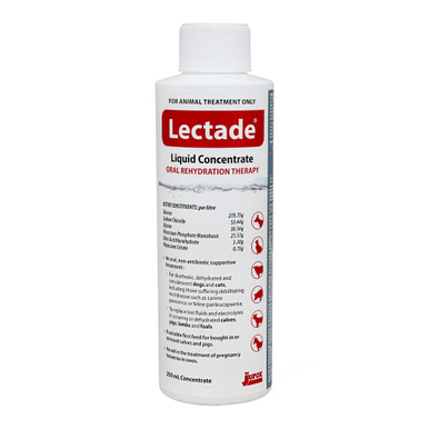 Buy Lectade Liquid 250ml - Discount Pet Meds