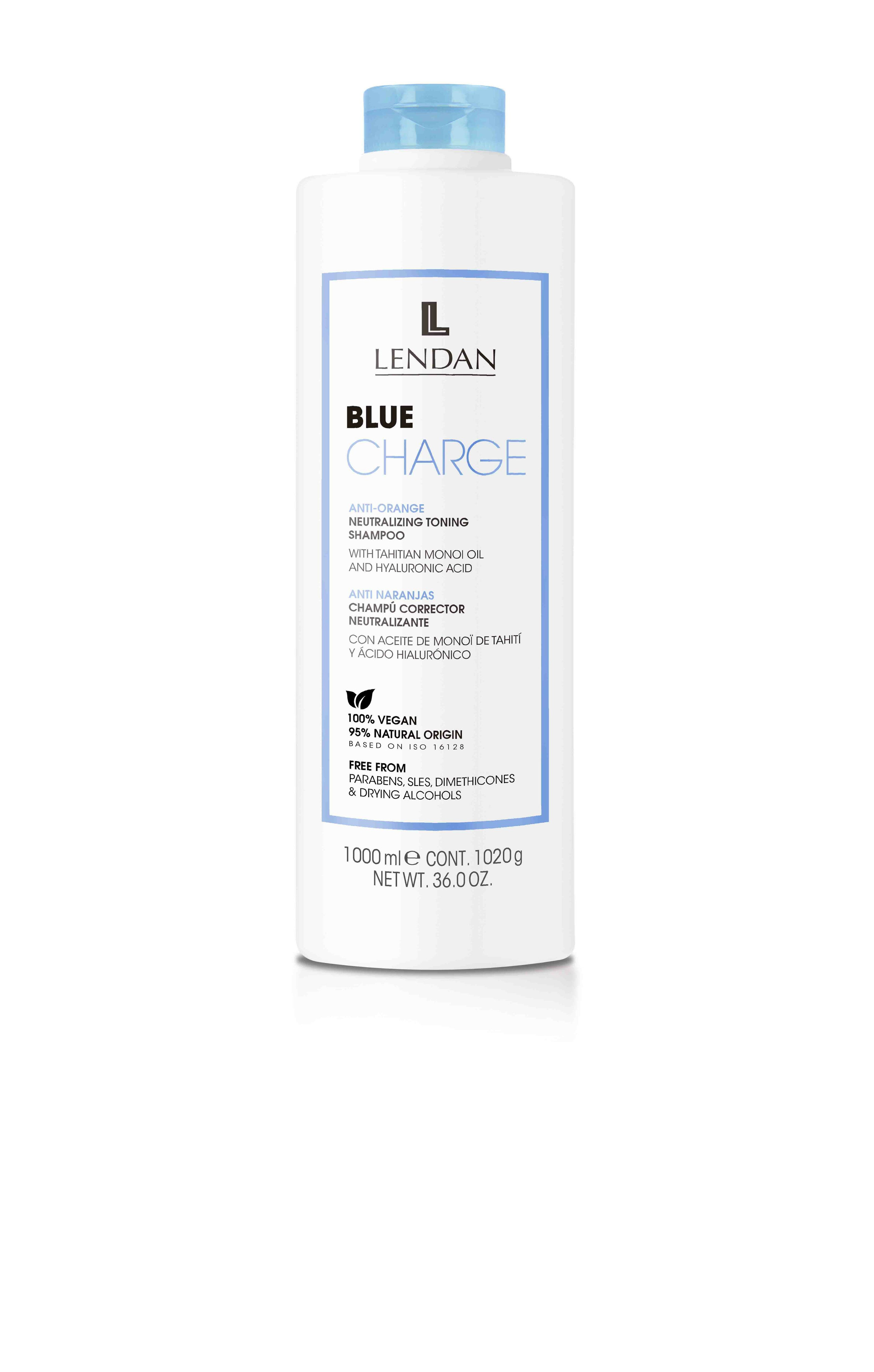 LENDAN - Hair To Go MEN - 3-in-1 Shampoo Gel 300ml - Salon Cosmetics