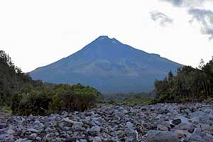 Pouakais Via The Puniho Rd Track - Krystal Dew