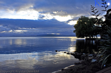 Lake Rotorua At Dawn From Ngongotaha