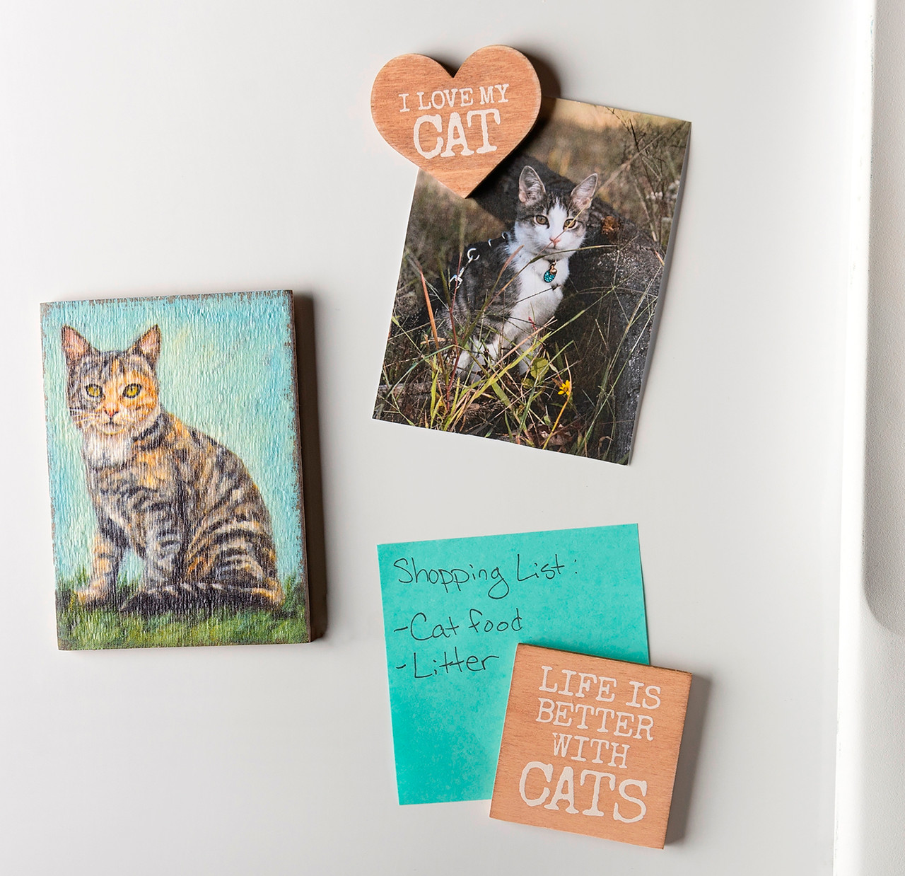 Cat Magnet Set, Tabby Cat - Georgia's Gifts