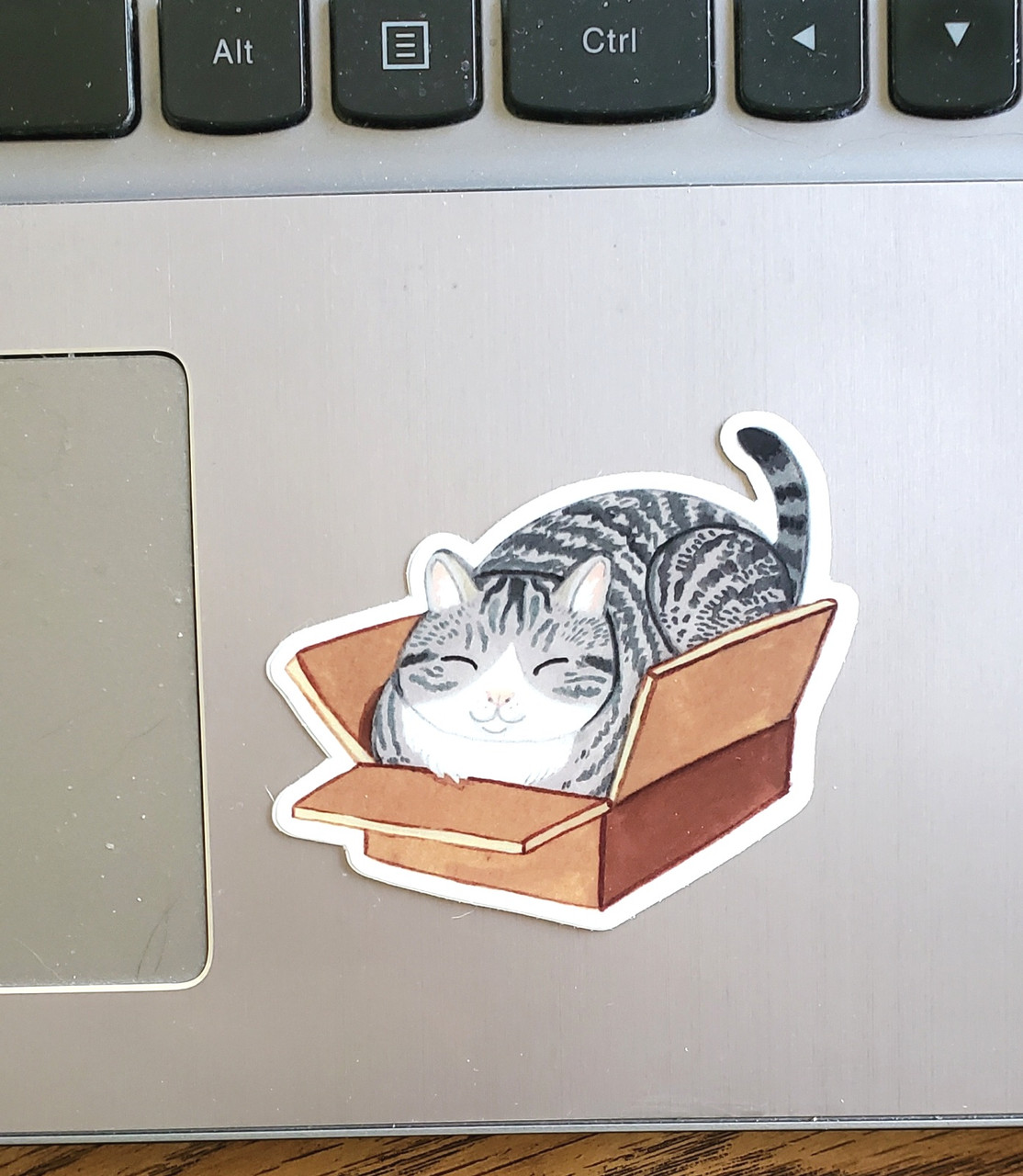 Cat in a Box Die-cut Vinyl Sticker, 2.75" wide