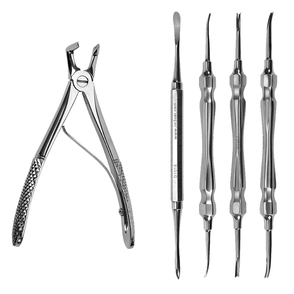 Tartar Removing Forceps