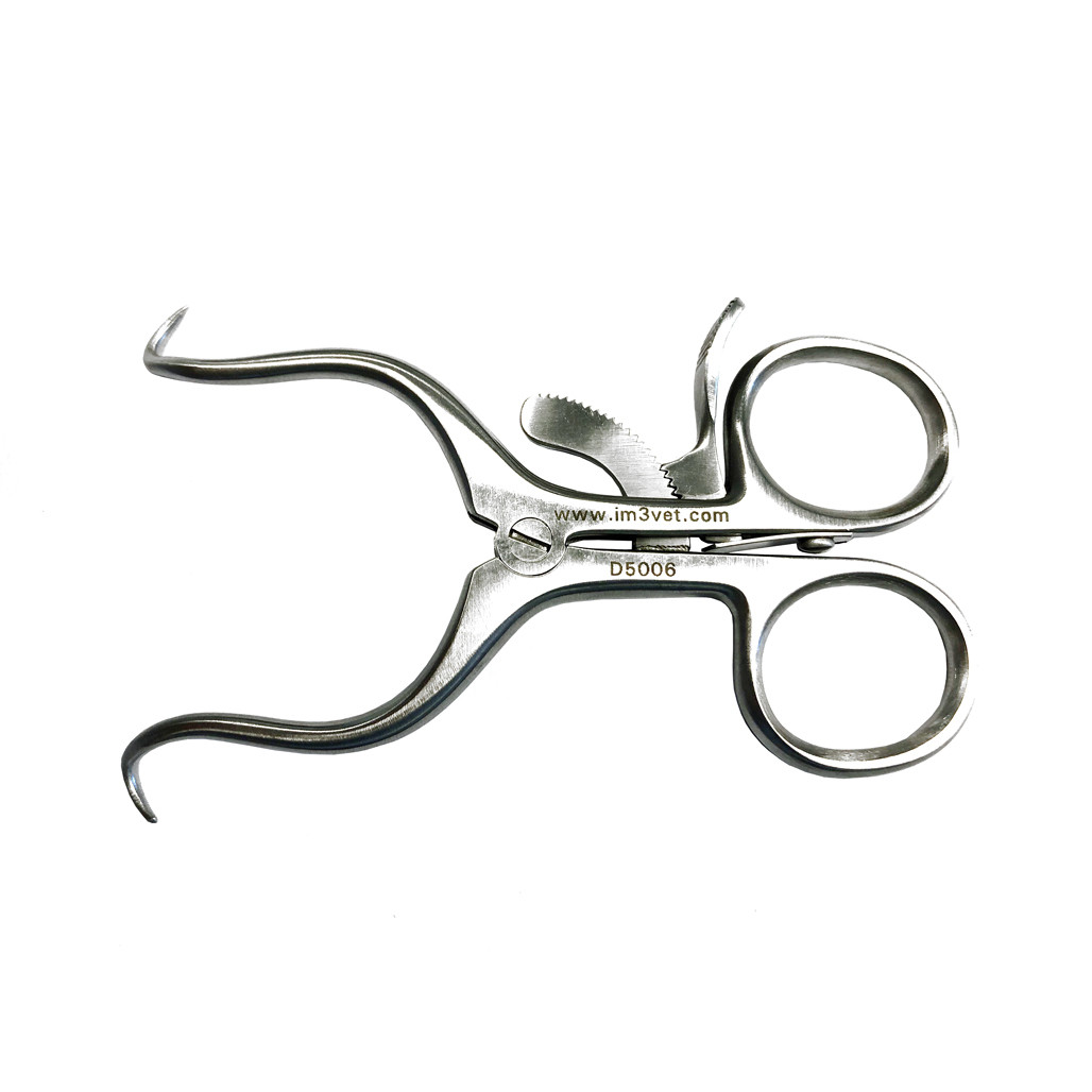 Lip Retractor